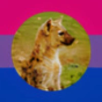 fluffy hyena | Bridge. Wiki | Fandom