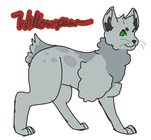 Willowpaw | Bridgeclan Wiki | Fandom