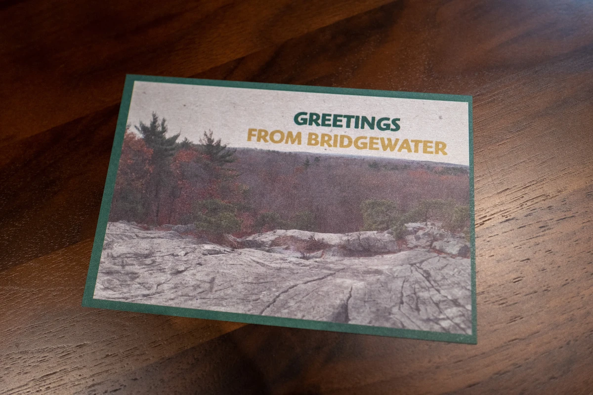 Freetown Forest | Bridgewater Wiki | Fandom