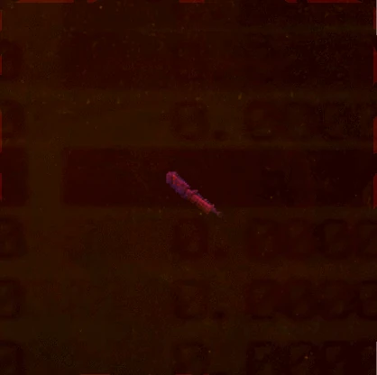 Belter | Brigador Wiki | Fandom