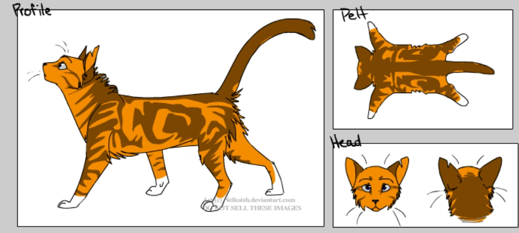 Amberfang | BrightClan roleplaying Wiki | Fandom