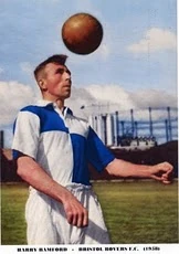 Harry Bamford | Gasopedia - Bristol Rovers Wiki | Fandom