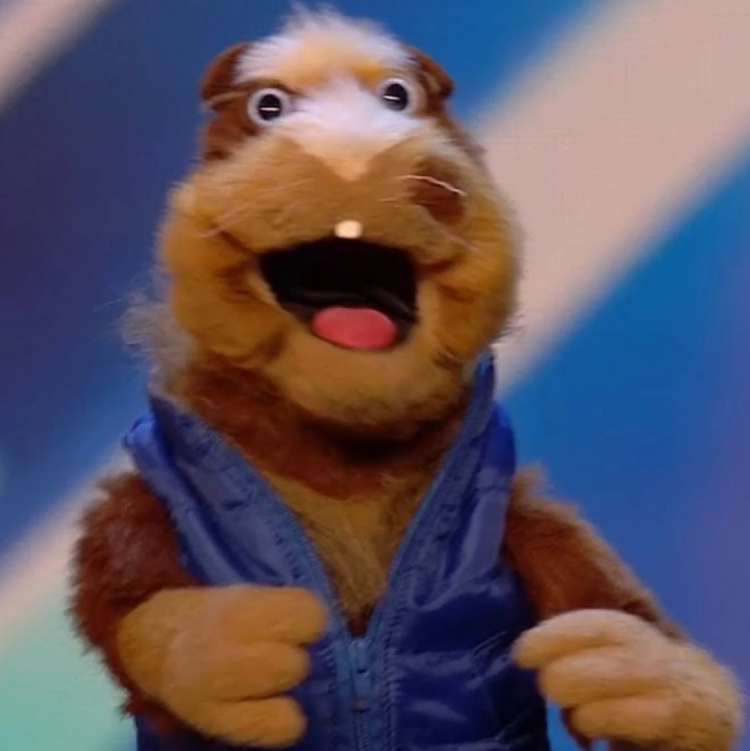 Patch | Britain's Got Talent Wiki | Fandom