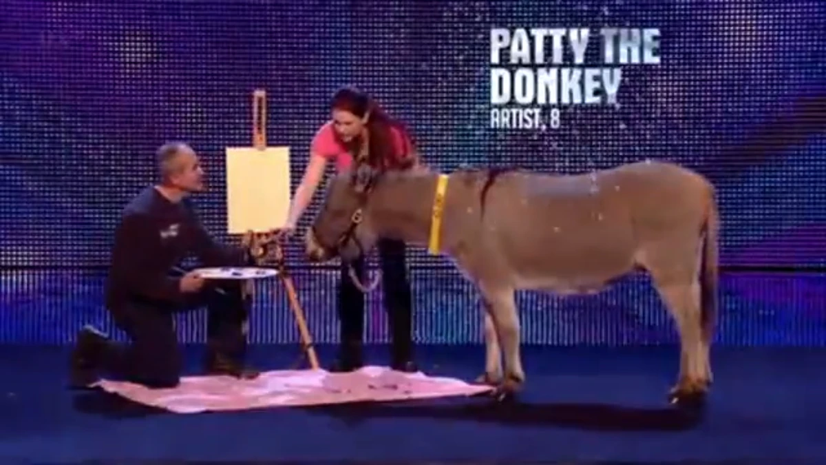 Patty The Donkey | Britain's Got Talent Wiki | Fandom