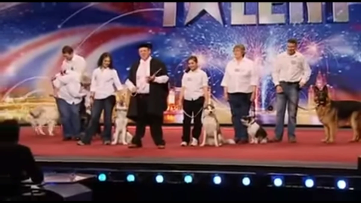 Dog Positive Posse | Britain's Got Talent Wiki | Fandom