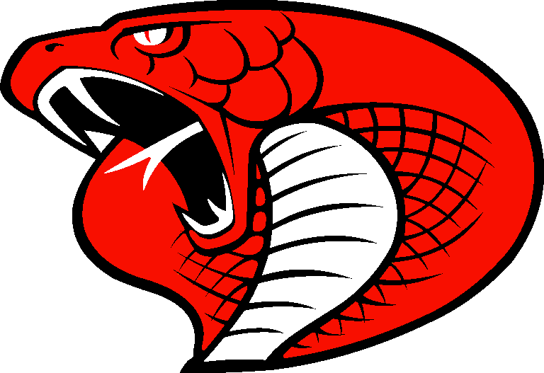 Cardiff Cobras | Britball Wiki | Fandom