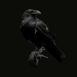 Night's Watch | British Empire Wiki | Fandom