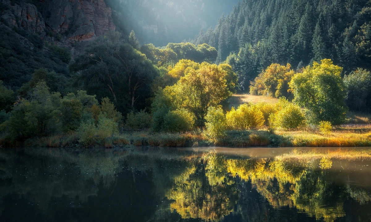 Myosis | Wiki British Lullaby | Fandom