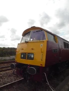 Class 52 | British Rail Locomotives Wiki | Fandom