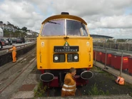 Class 52 | British Rail Locomotives Wiki | Fandom