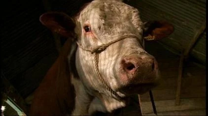 A Rocky Start | British sitcoms Wiki | Fandom