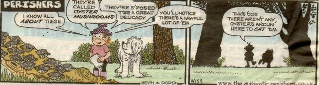 The Perishers | Albion British Comics Database Wiki | Fandom