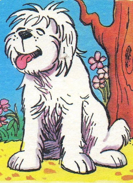 Boot (The Perishers) | Albion British Comics Database Wiki | Fandom