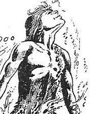 Fishboy | Albion British Comics Database Wiki | Fandom
