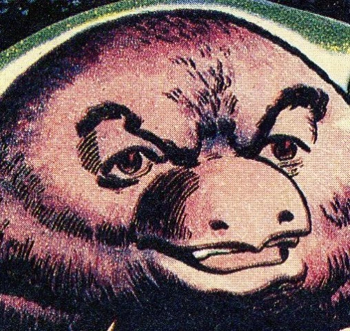 Vora | Albion British Comics Database Wiki | Fandom