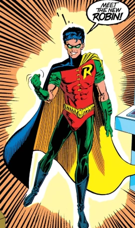 Robin The Boy Wonder Costume