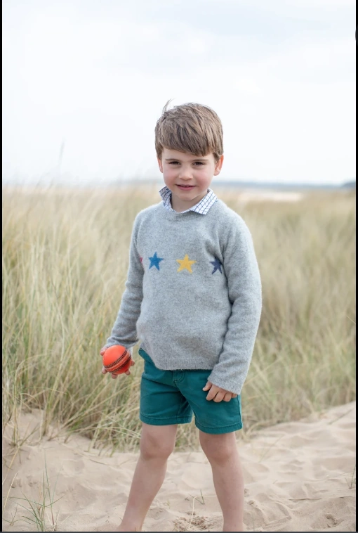 Prince Louis of Wales | British Royal Family Wiki | Fandom