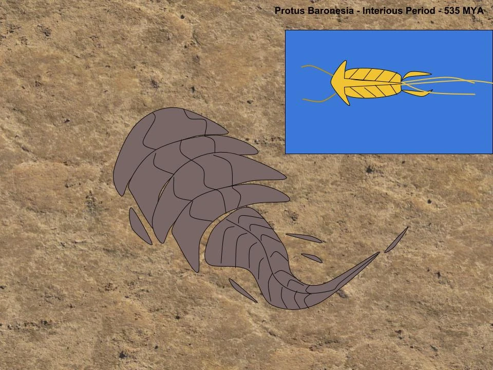 Protus Baronesia | Britomartis Wiki | Fandom