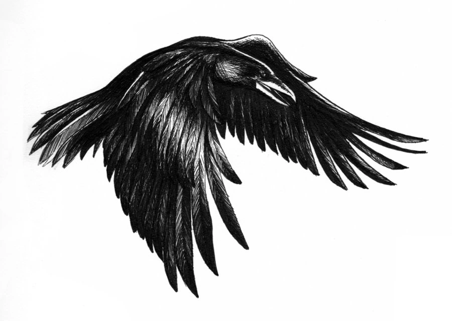 Roac | Wikia Les Contes de Brittanie | Fandom