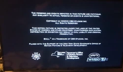 Bull | Broadcast Syndication Wiki | Fandom