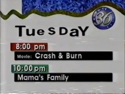 Mama's Family | Broadcast Syndication Wiki | Fandom