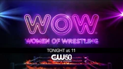 Women of Wrestling | Broadcast Syndication Wiki | Fandom