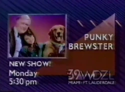 Punky Brewster | Broadcast Syndication Wiki | Fandom