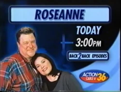 Roseanne | Broadcast Syndication Wiki | Fandom
