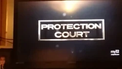 Protection Court | Broadcast Syndication Wiki | Fandom
