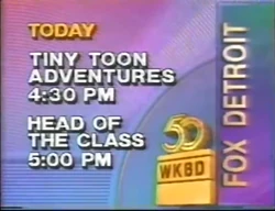 Head of the Class | Broadcast Syndication Wiki | Fandom