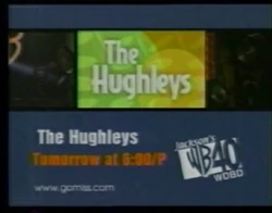 The Hughleys | Broadcast Syndication Wiki | Fandom