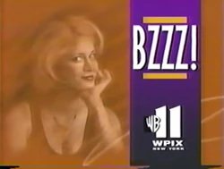 Bzzz! | Broadcast Syndication Wiki | Fandom