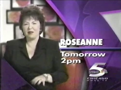 The Roseanne Show | Broadcast Syndication Wiki | Fandom