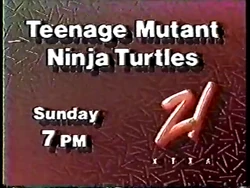 Teenage Mutant Ninja Turtles | Broadcast Syndication Wiki | Fandom