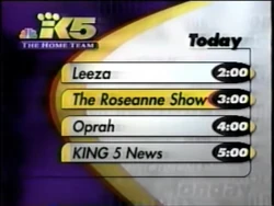 The Roseanne Show | Broadcast Syndication Wiki | Fandom