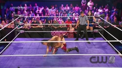 Women of Wrestling | Broadcast Syndication Wiki | Fandom