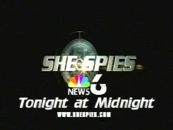She Spies | Broadcast Syndication Wiki | Fandom
