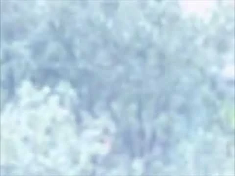 PRESENT | Broadside Wiki | Fandom