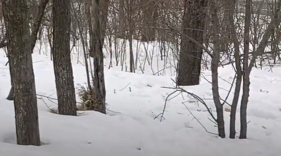 Category:Locations | Brodey Meister (Youtube Channel) Wiki | Fandom