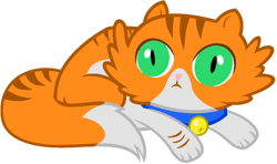 Andy (cat) | Bronies Wiki | Fandom