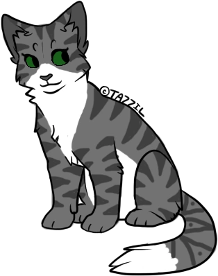 Cinderfall | BrookClanSaga Wiki | Fandom