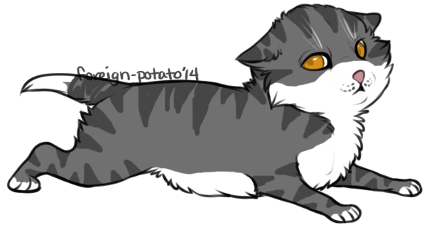 Thunderkit | BrookClanSaga Wiki | Fandom