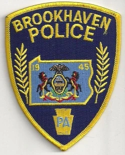 Brookhaven Police | Brookhaven Wiki | Fandom