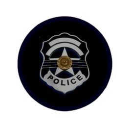 Brookhaven Police | Brookhaven Wiki | Fandom
