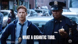 Captain Kim | Brooklyn Nine-Nine Wiki | Fandom