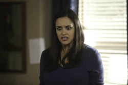 9 Days | Brooklyn Nine-Nine Wiki | Fandom