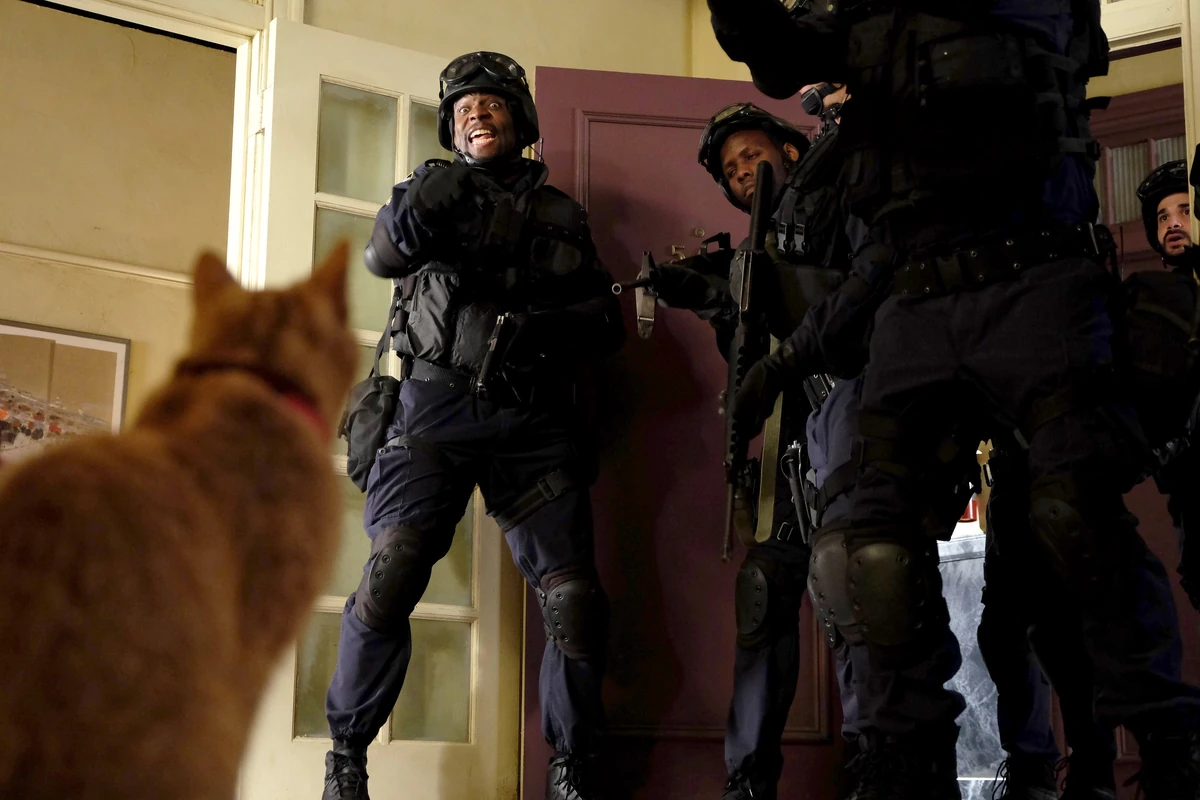 Terry Kitties | Brooklyn Nine-Nine Wiki | Fandom