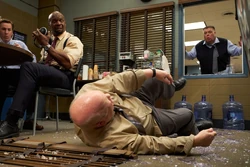 Show Me Going/Image Gallery | Brooklyn Nine-Nine Wiki | Fandom