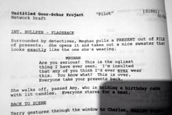 Pilot | Brooklyn Nine-Nine Wiki | Fandom