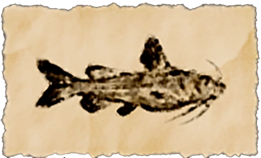 Dwarf Catfish | Brooks Travel Guide to Eorzea Wiki | Fandom
